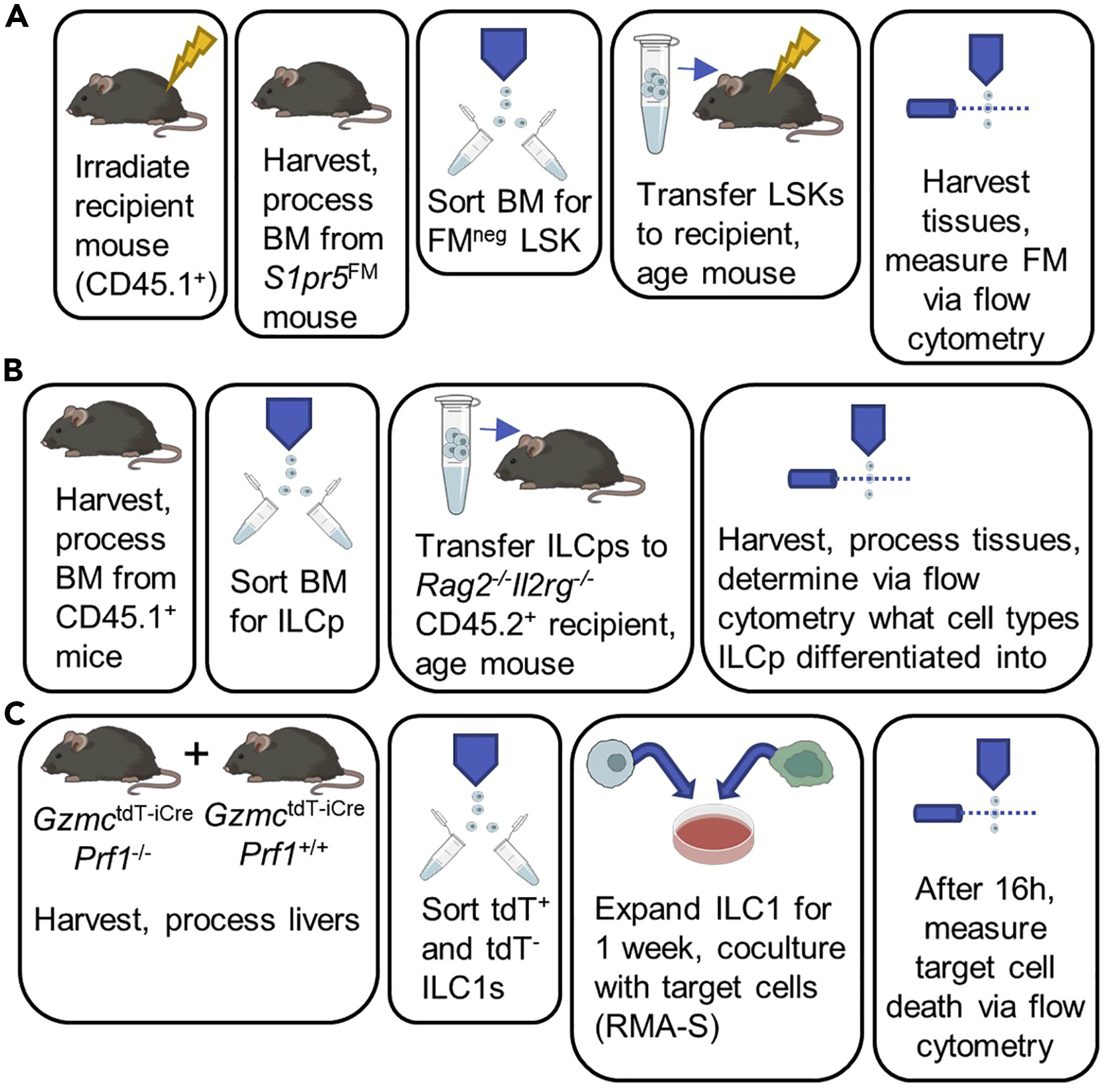 Cell Press: STAR Protocols