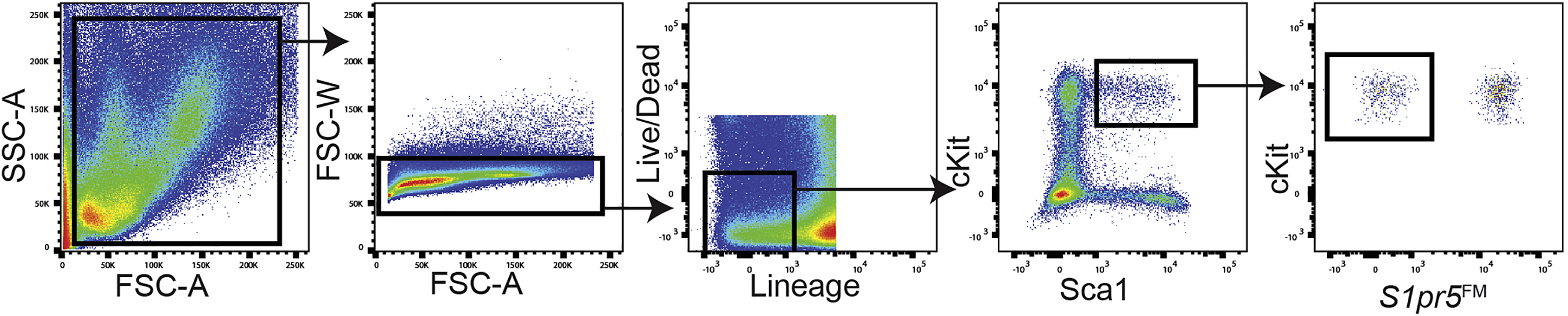 Cell Press: STAR Protocols