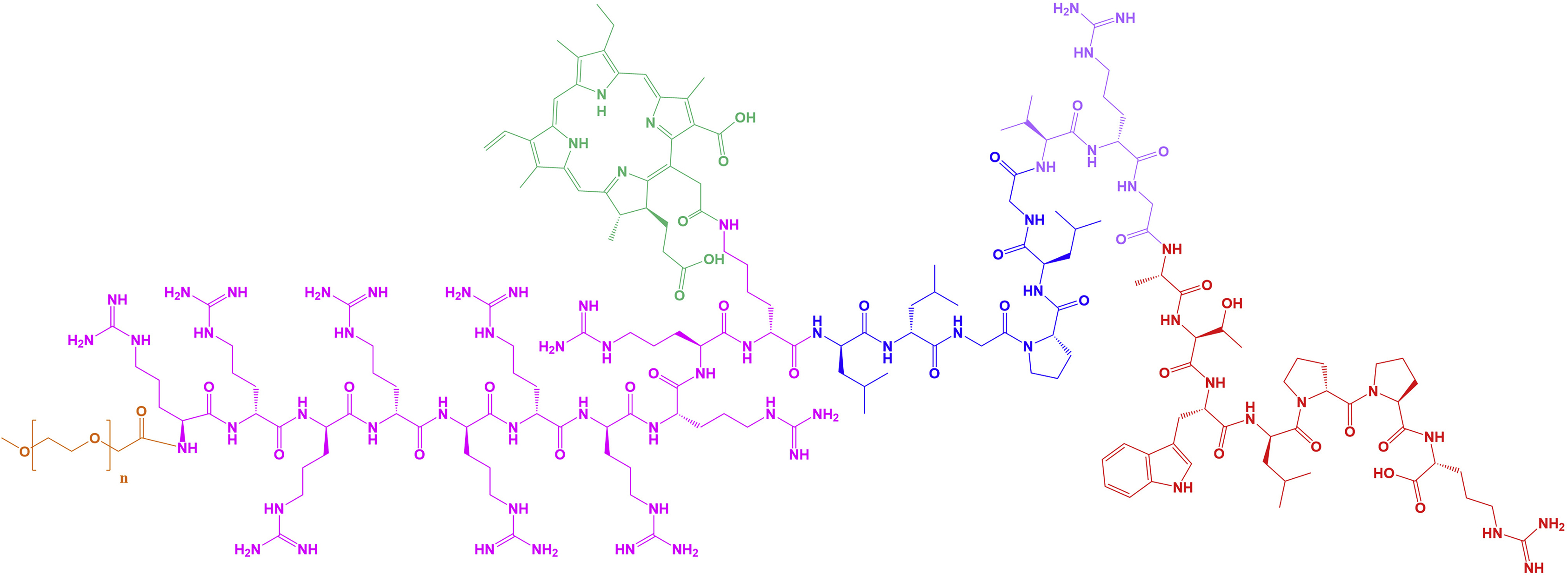 Cell Press: STAR Protocols