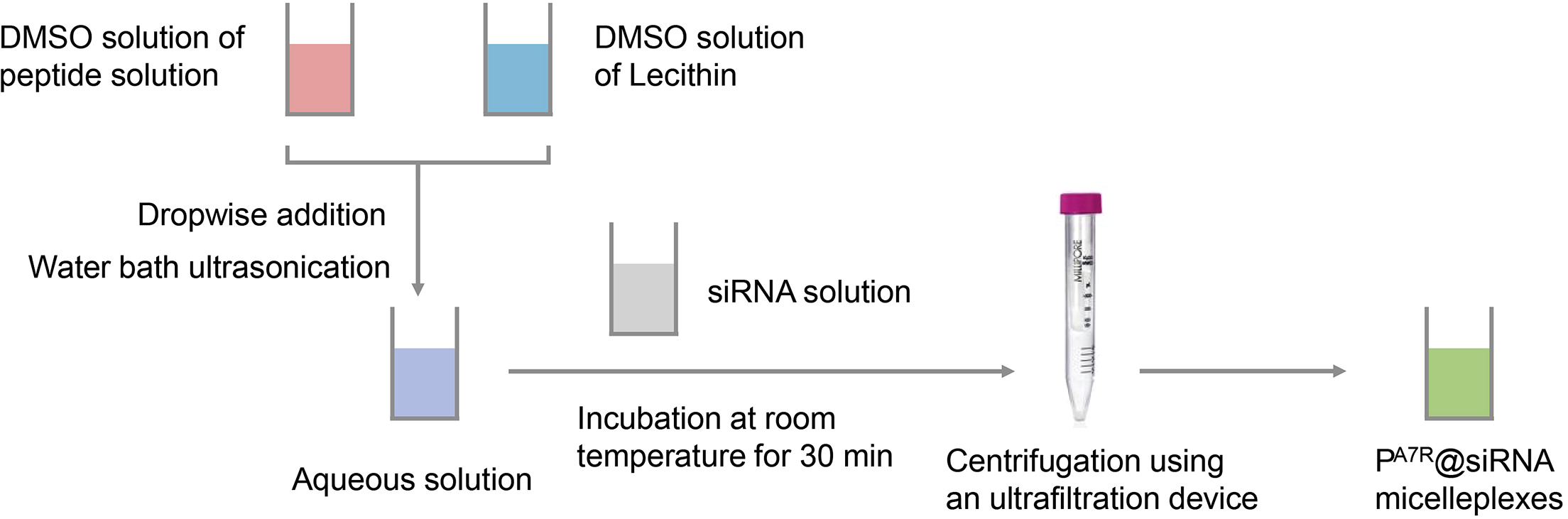 Cell Press: STAR Protocols