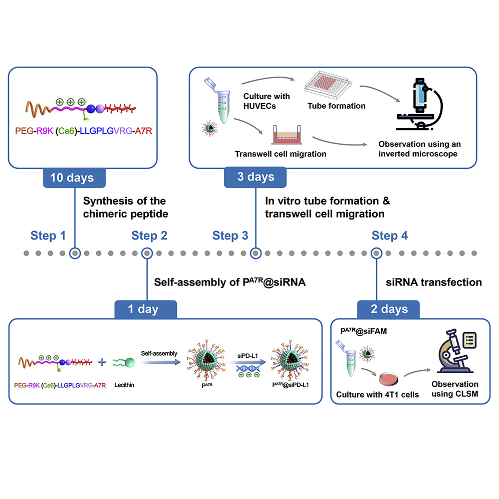 Cell Press Star Protocols