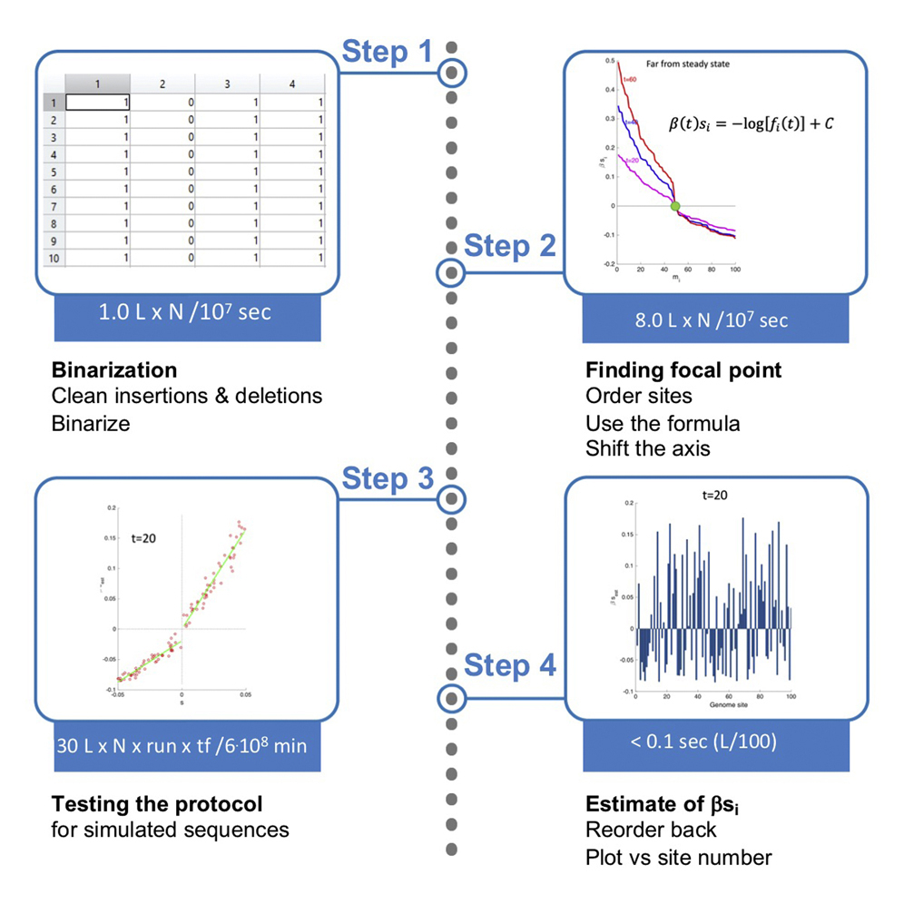 Cell Press: STAR Protocols