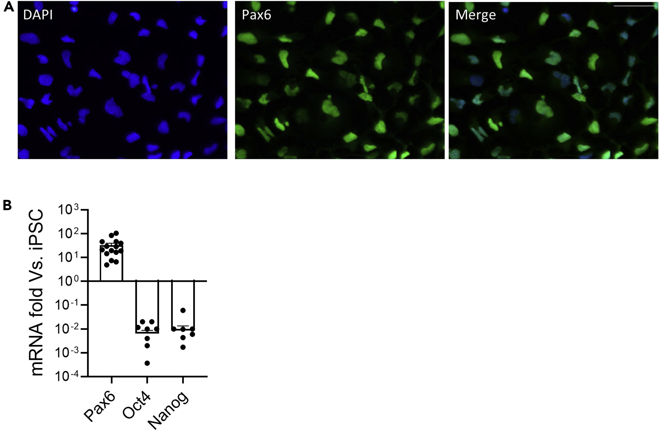 Cell Press: STAR Protocols