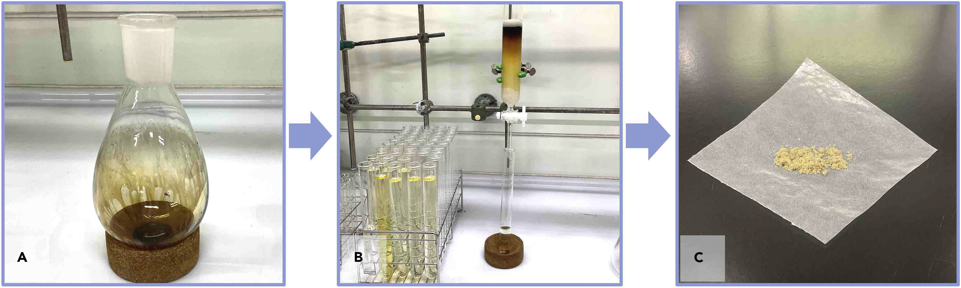 Cell Press: STAR Protocols