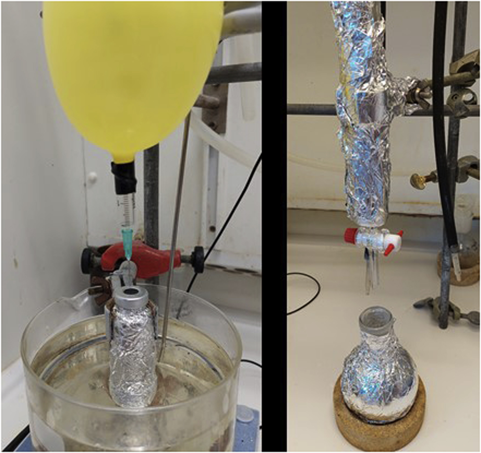 Cell Press: STAR Protocols