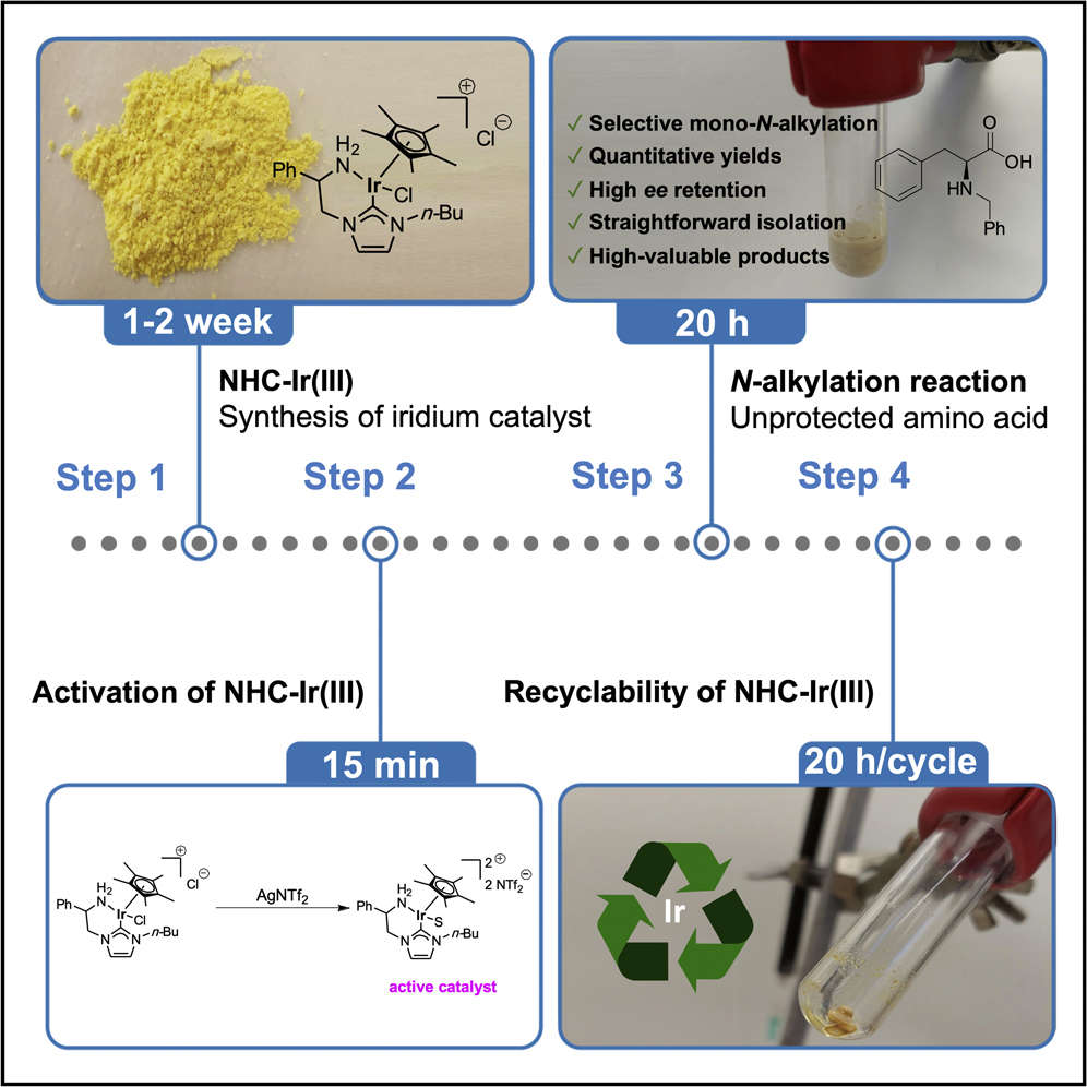 Cell Press: STAR Protocols