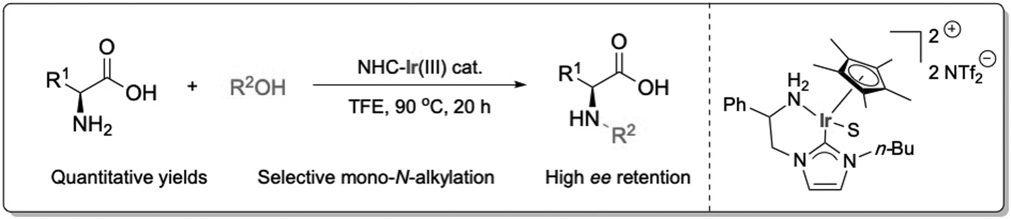 Cell Press: STAR Protocols