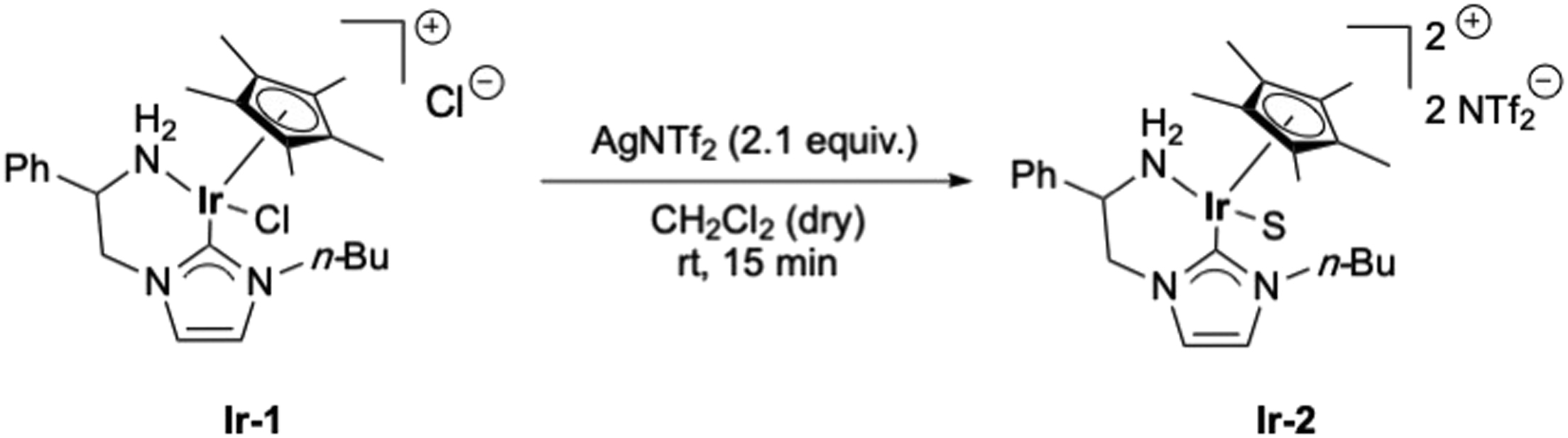 Cell Press: STAR Protocols