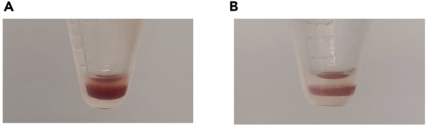 Cell Press: STAR Protocols