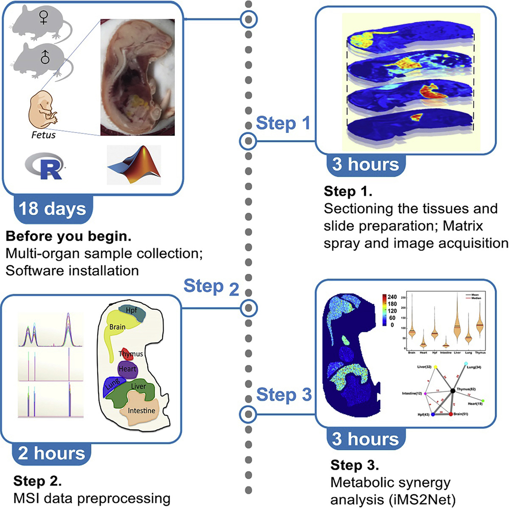 Cell Press: STAR Protocols