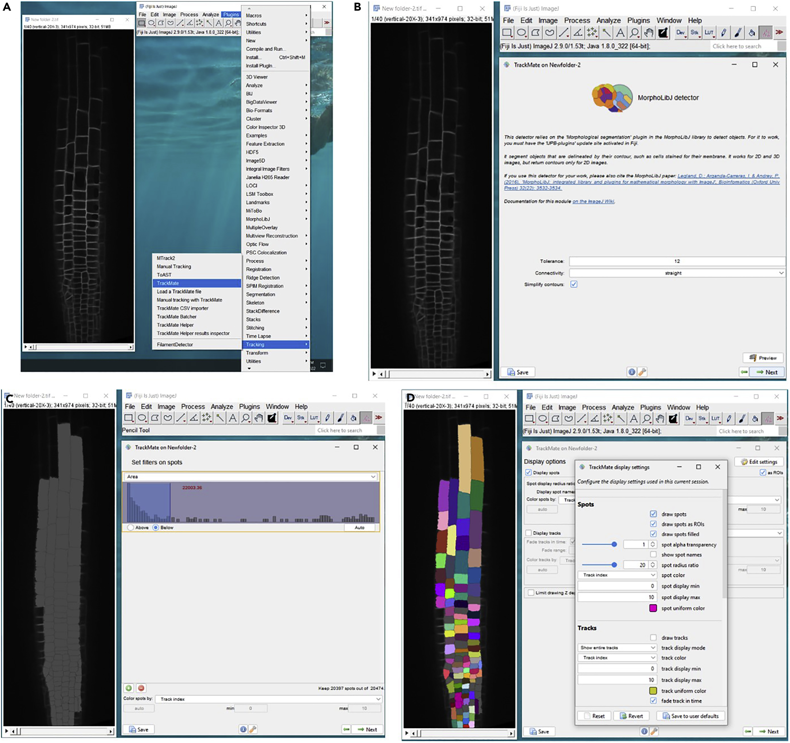 Cell Press: STAR Protocols
