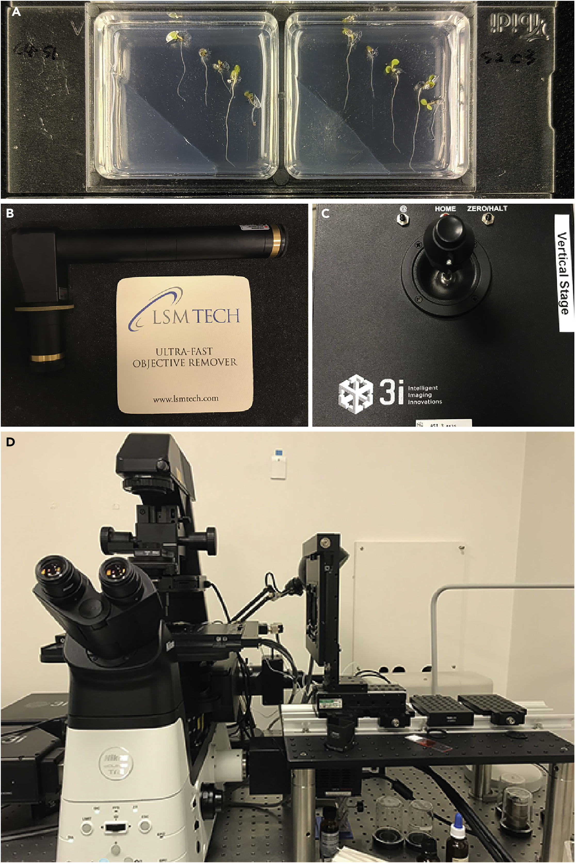Cell Press: STAR Protocols