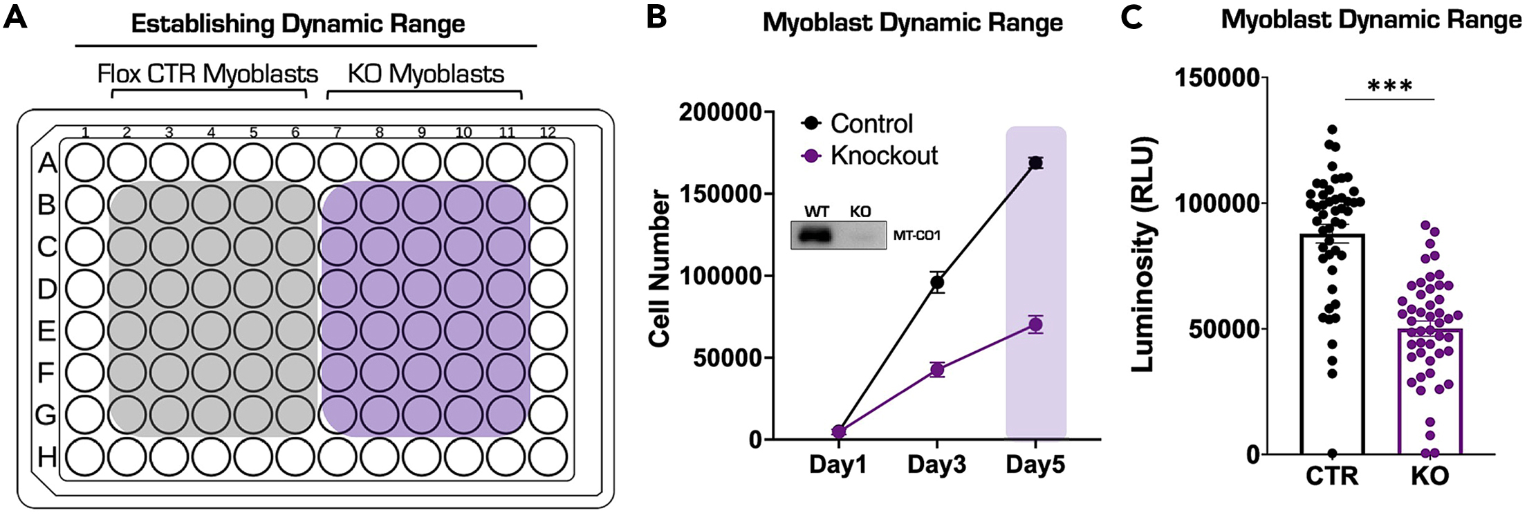 Cell Press: STAR Protocols