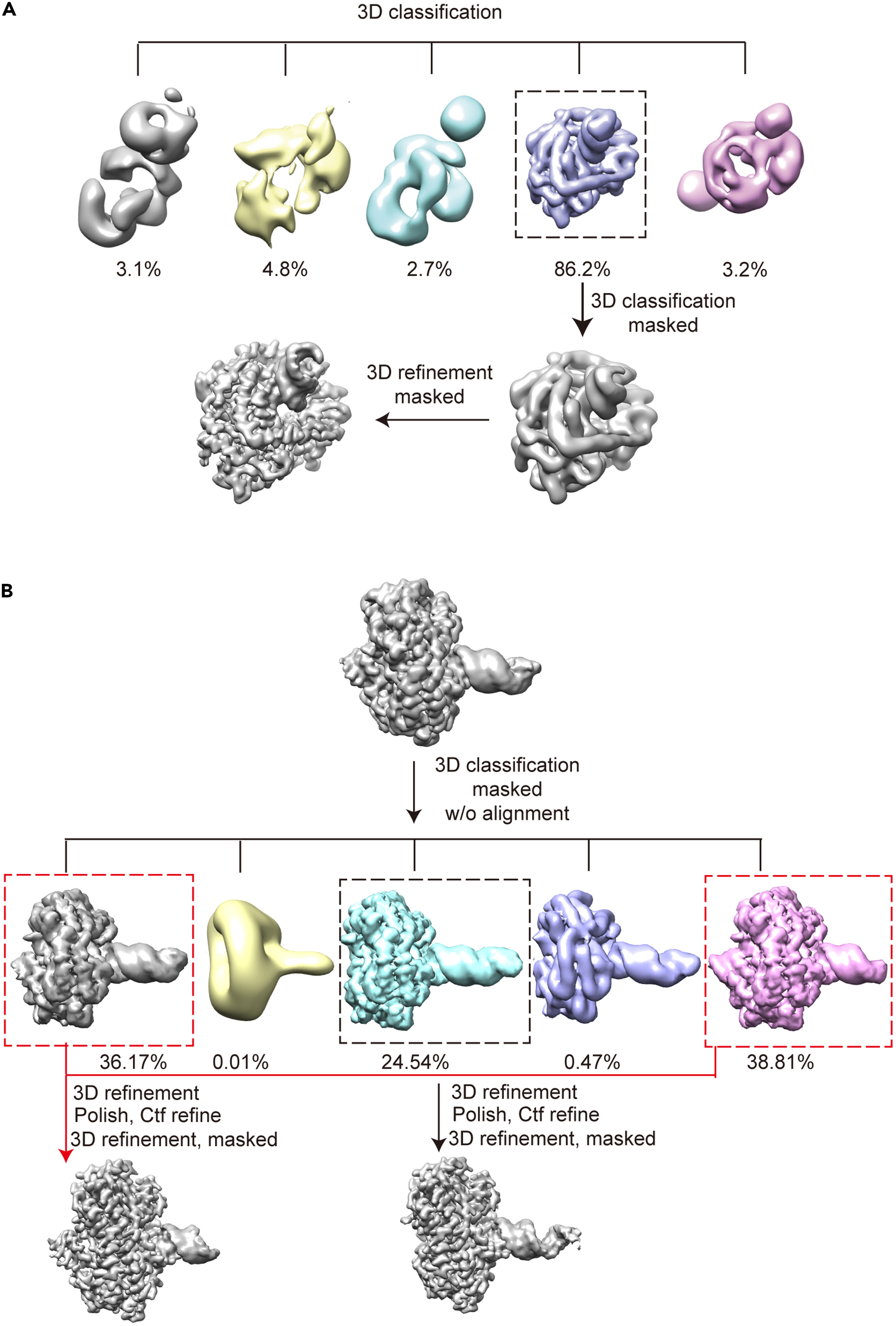 Cell Press: STAR Protocols