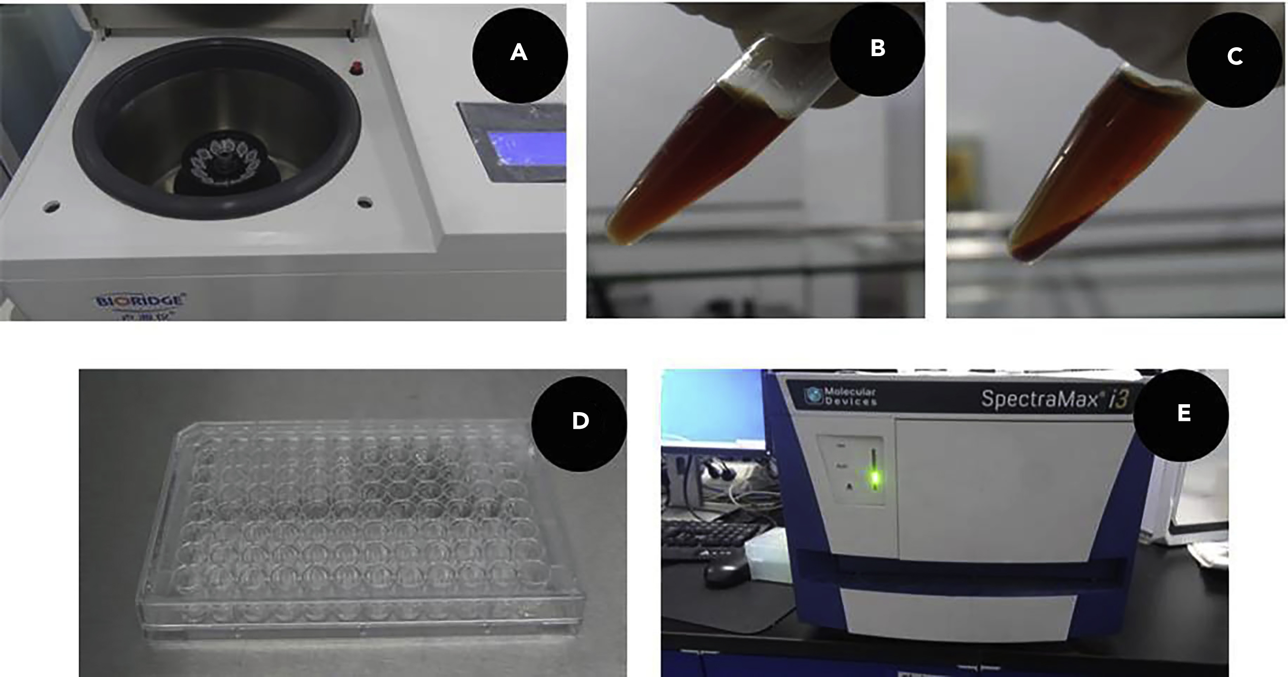 Cell Press: STAR Protocols