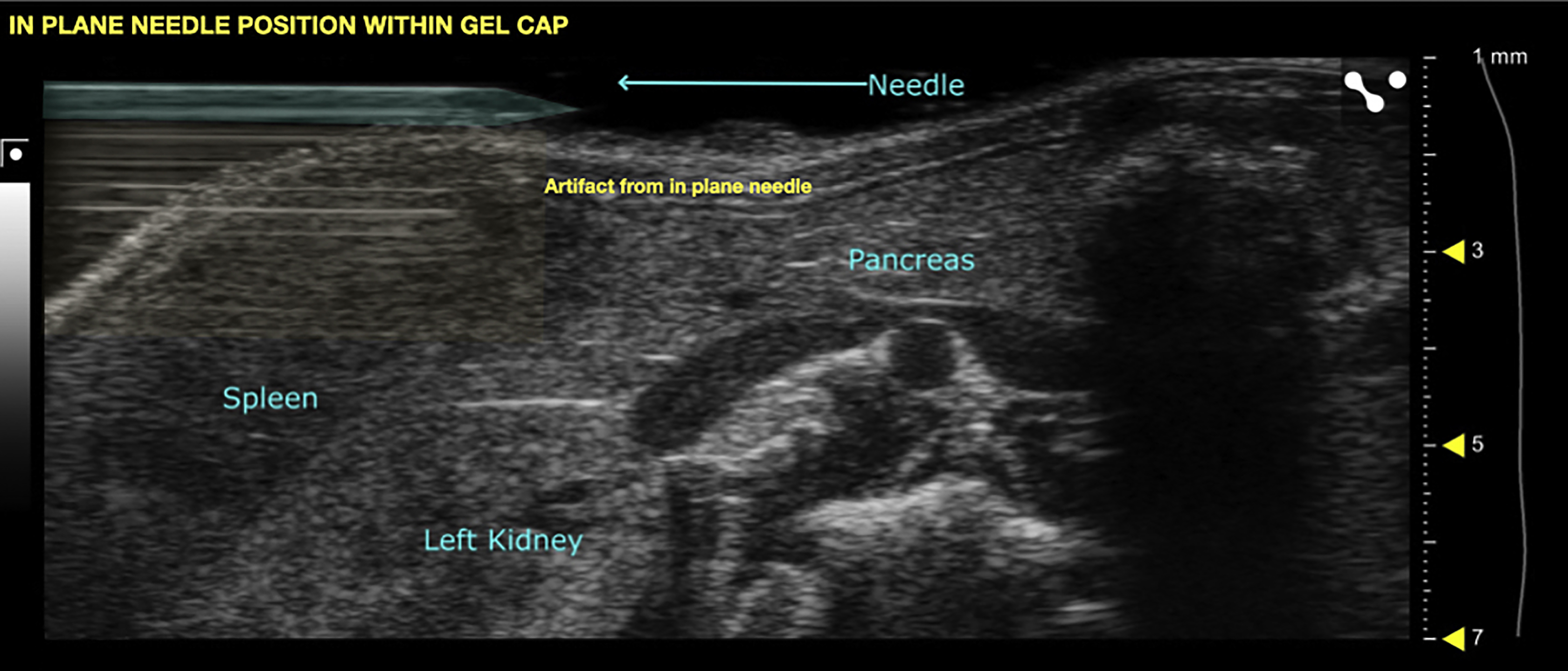 Cell Press: STAR Protocols