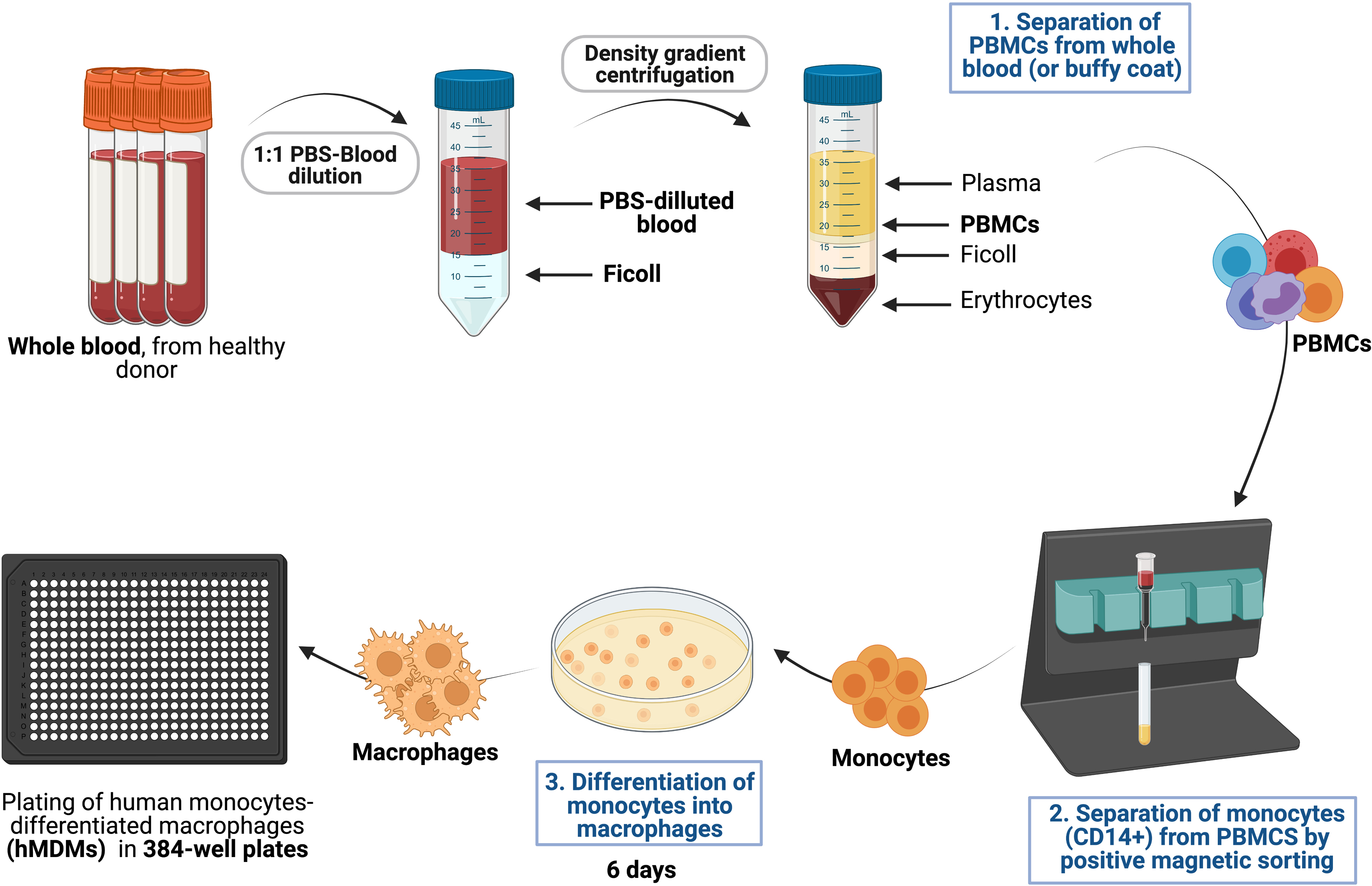 Cell Press: STAR Protocols