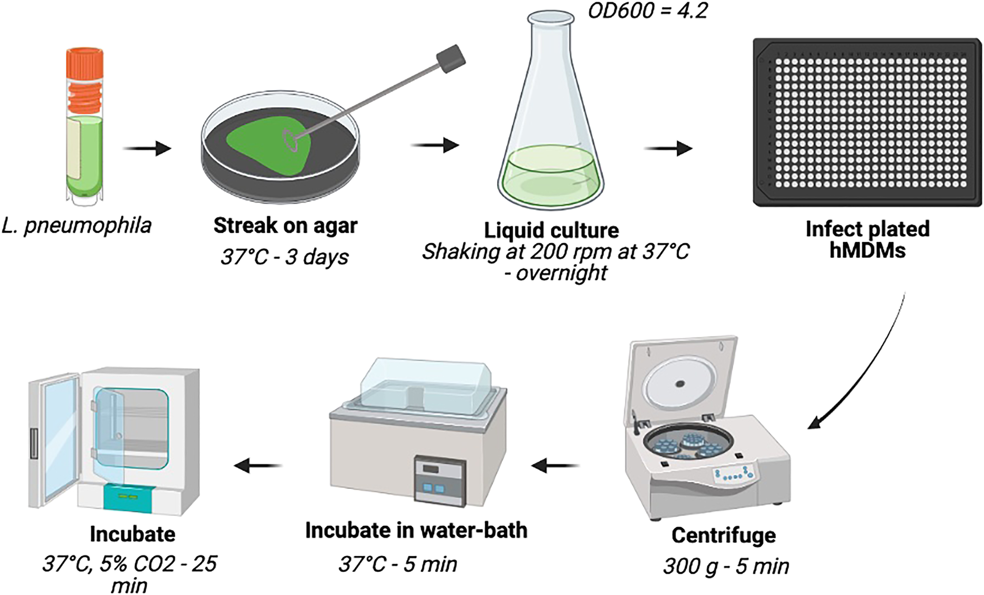 Cell Press: STAR Protocols