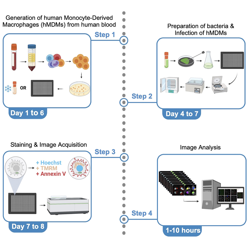 Cell Press: STAR Protocols