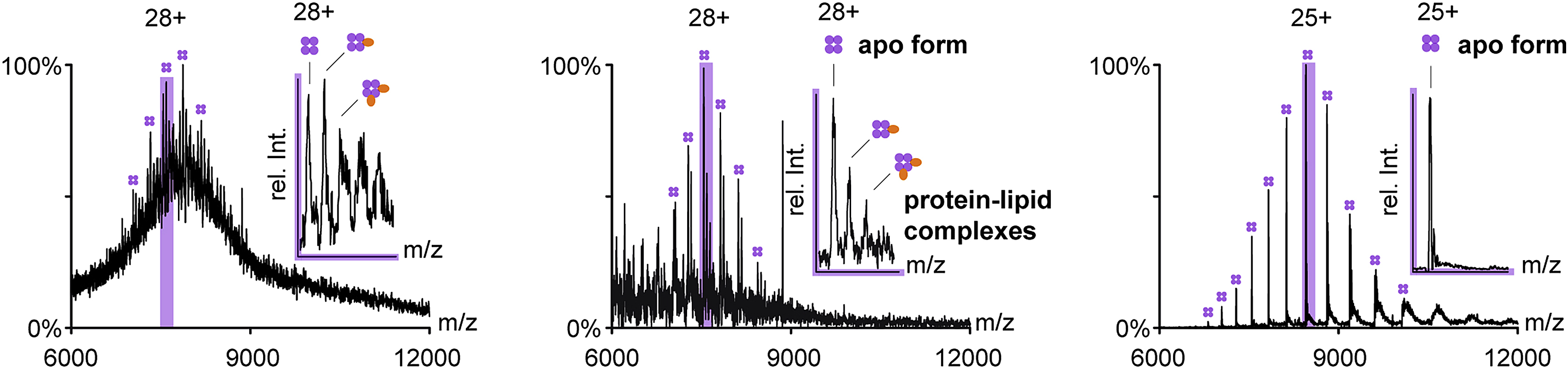 Cell Press: STAR Protocols