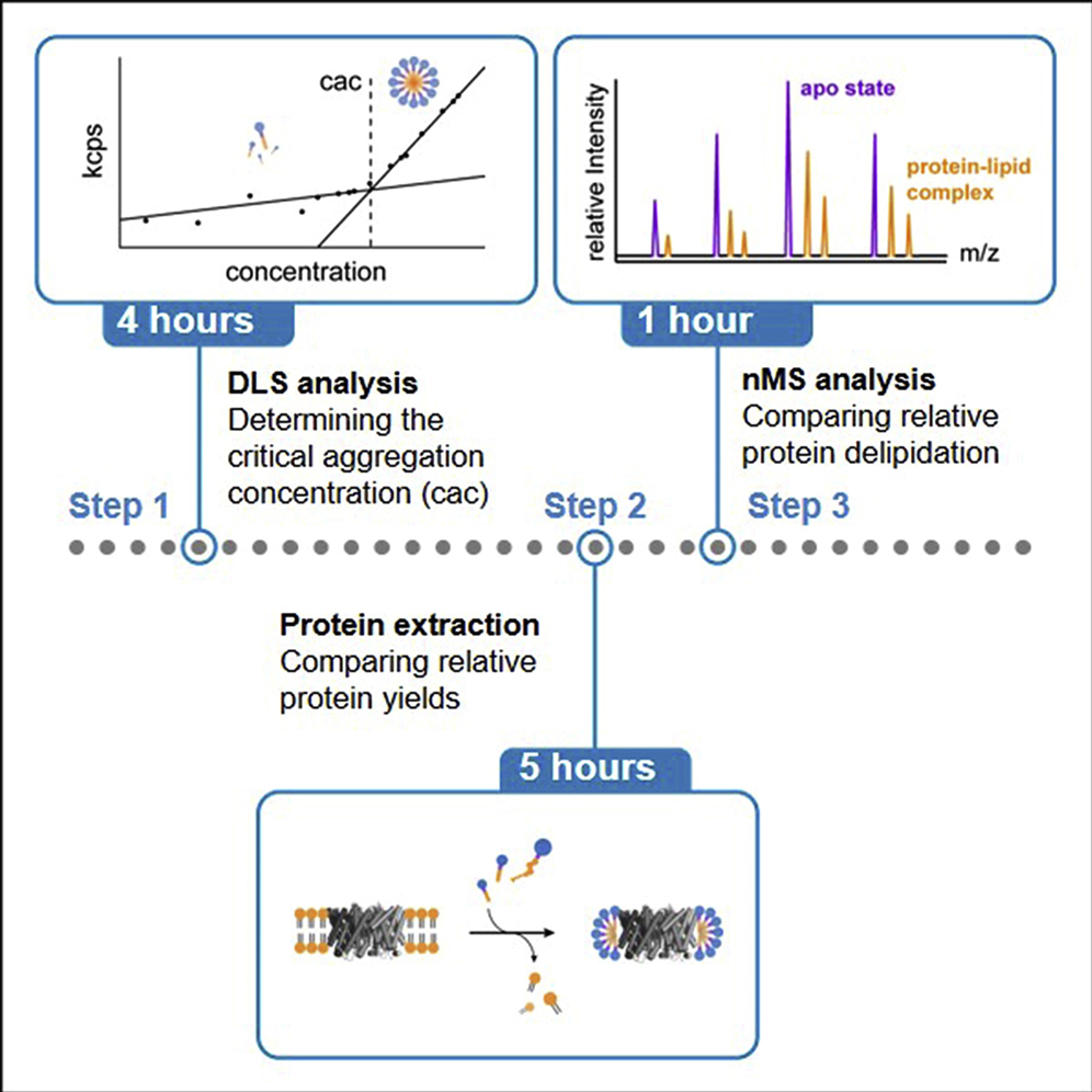 Cell Press: STAR Protocols