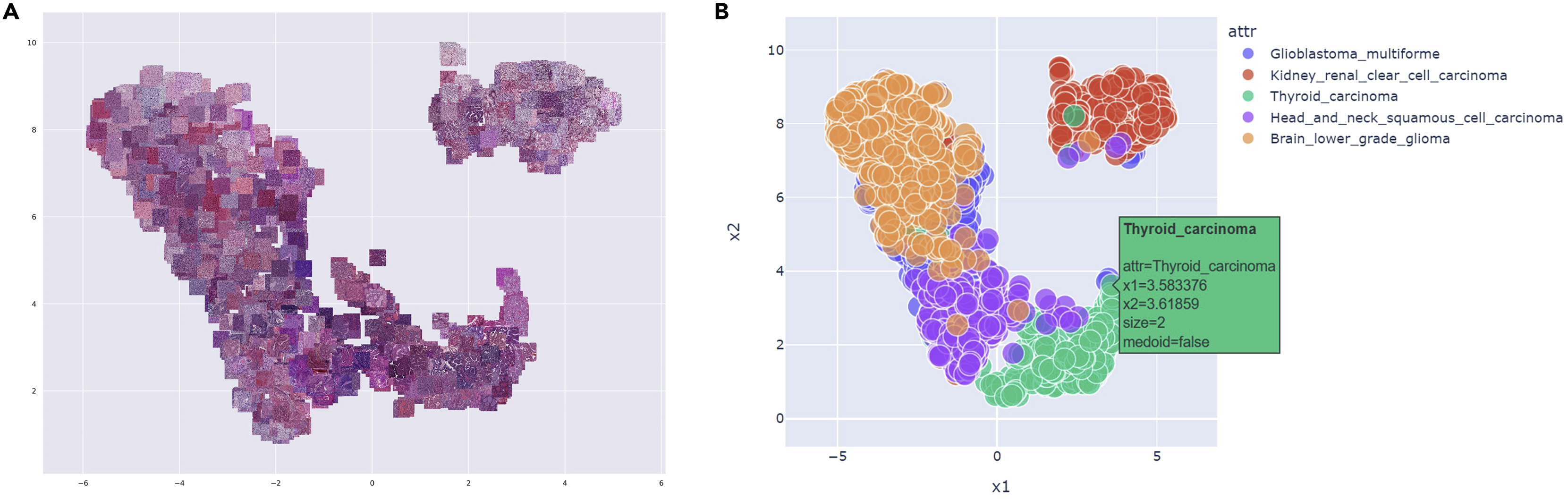 Cell Press: STAR Protocols