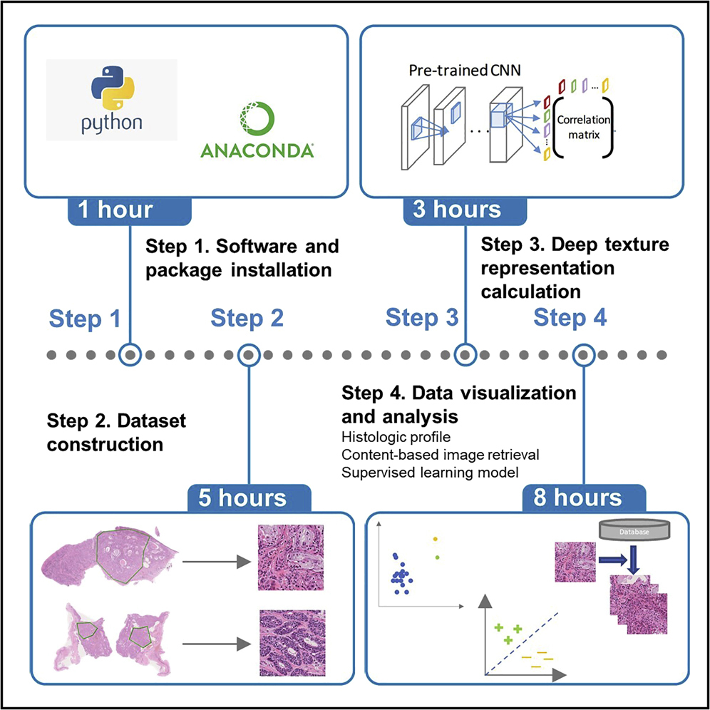 Cell Press: STAR Protocols
