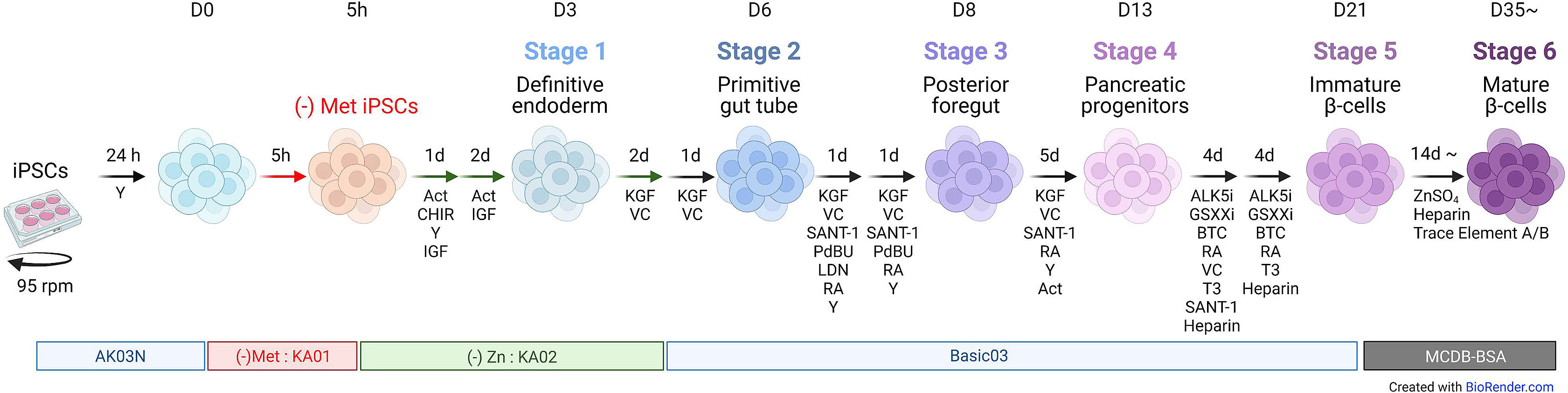 Cell Press: STAR Protocols