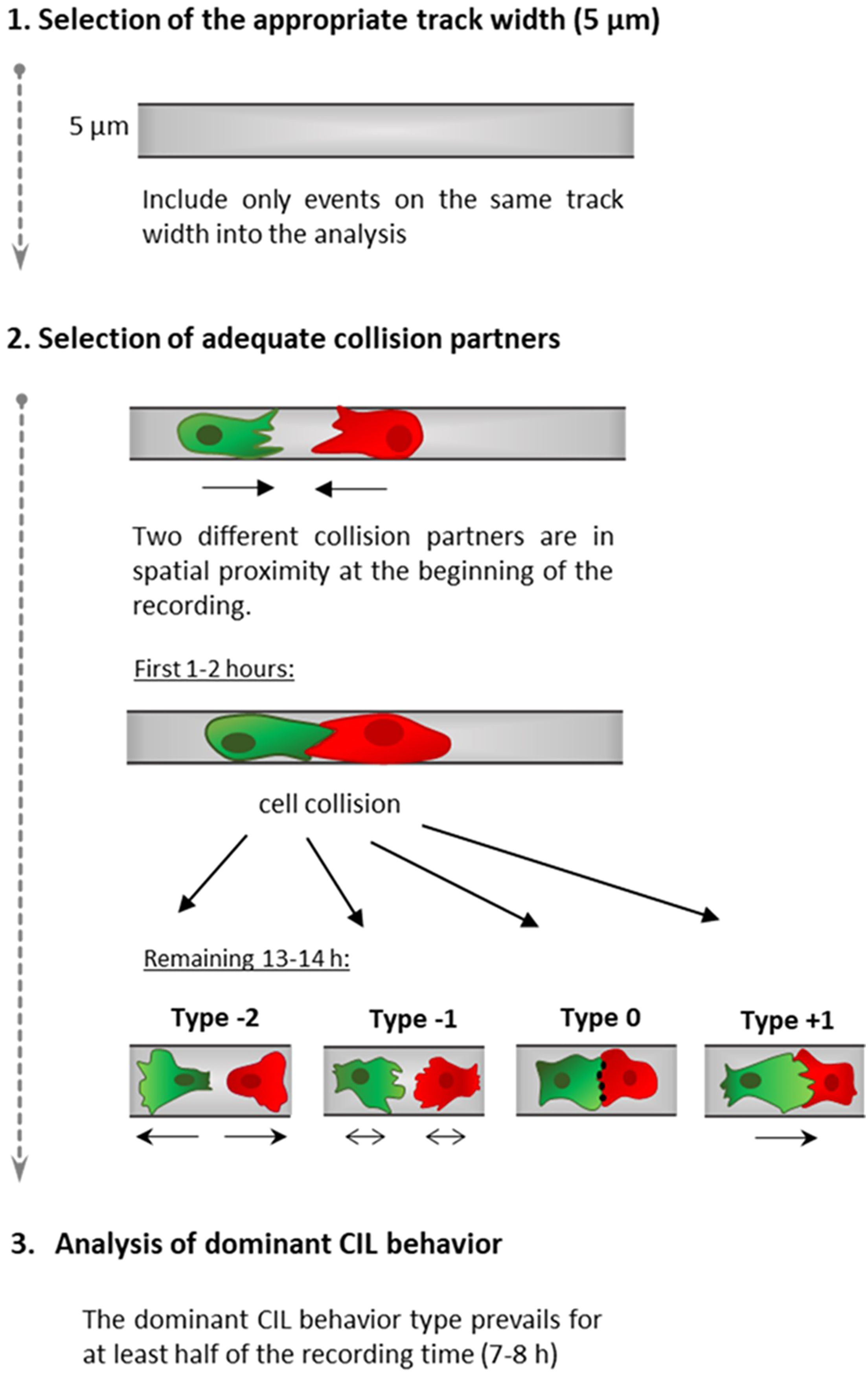 Cell Press: STAR Protocols