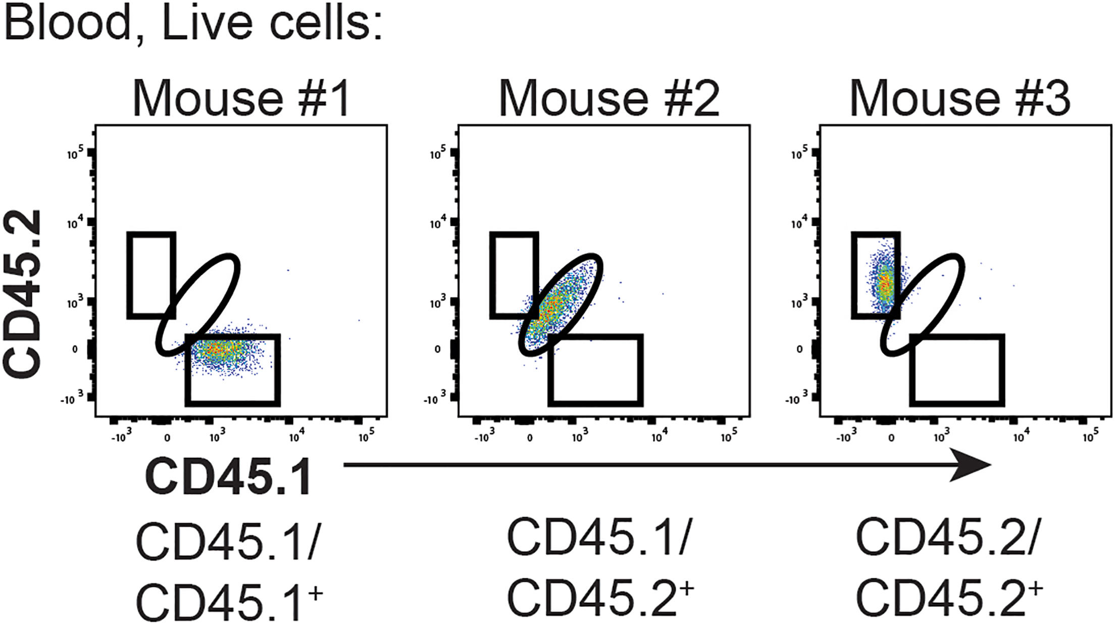Cell Press: STAR Protocols