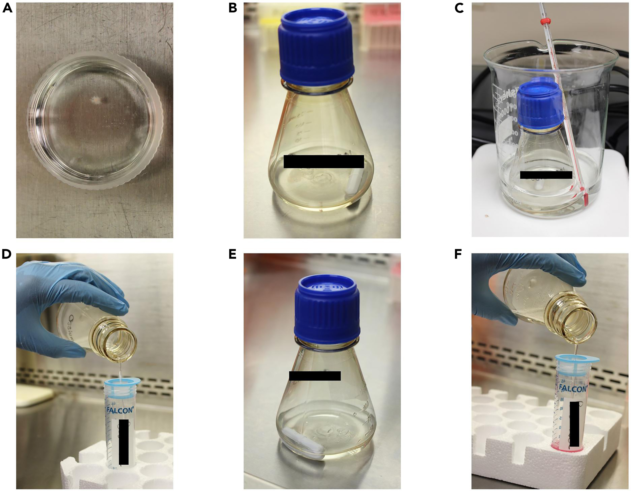 Cell Press: STAR Protocols