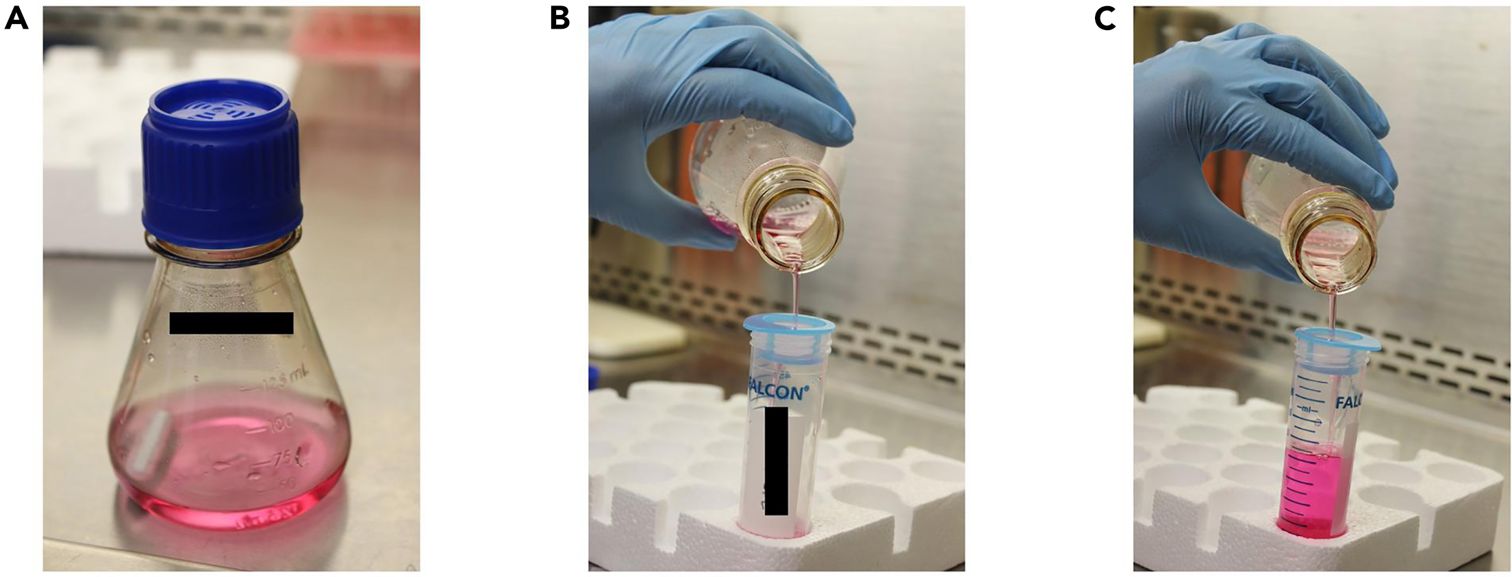 Cell Press: STAR Protocols