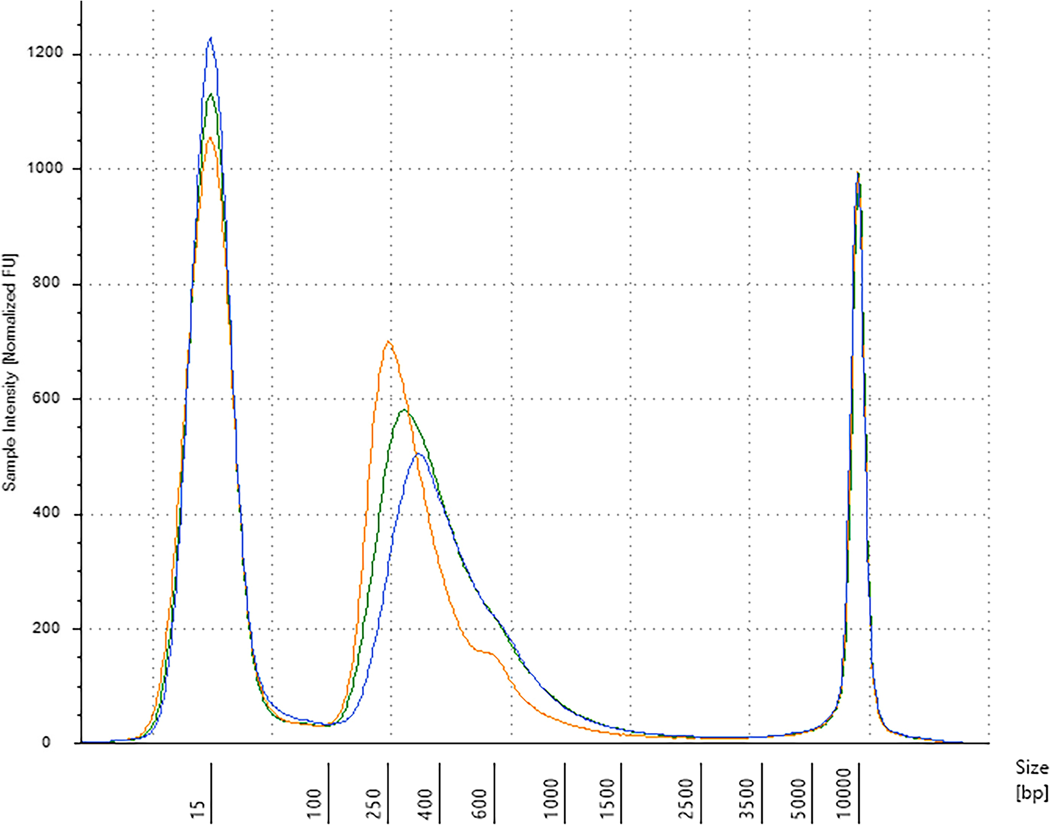Cell Press: STAR Protocols