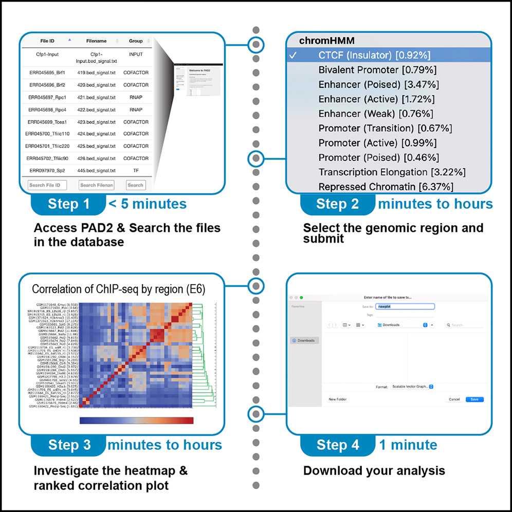 Cell Press: STAR Protocols