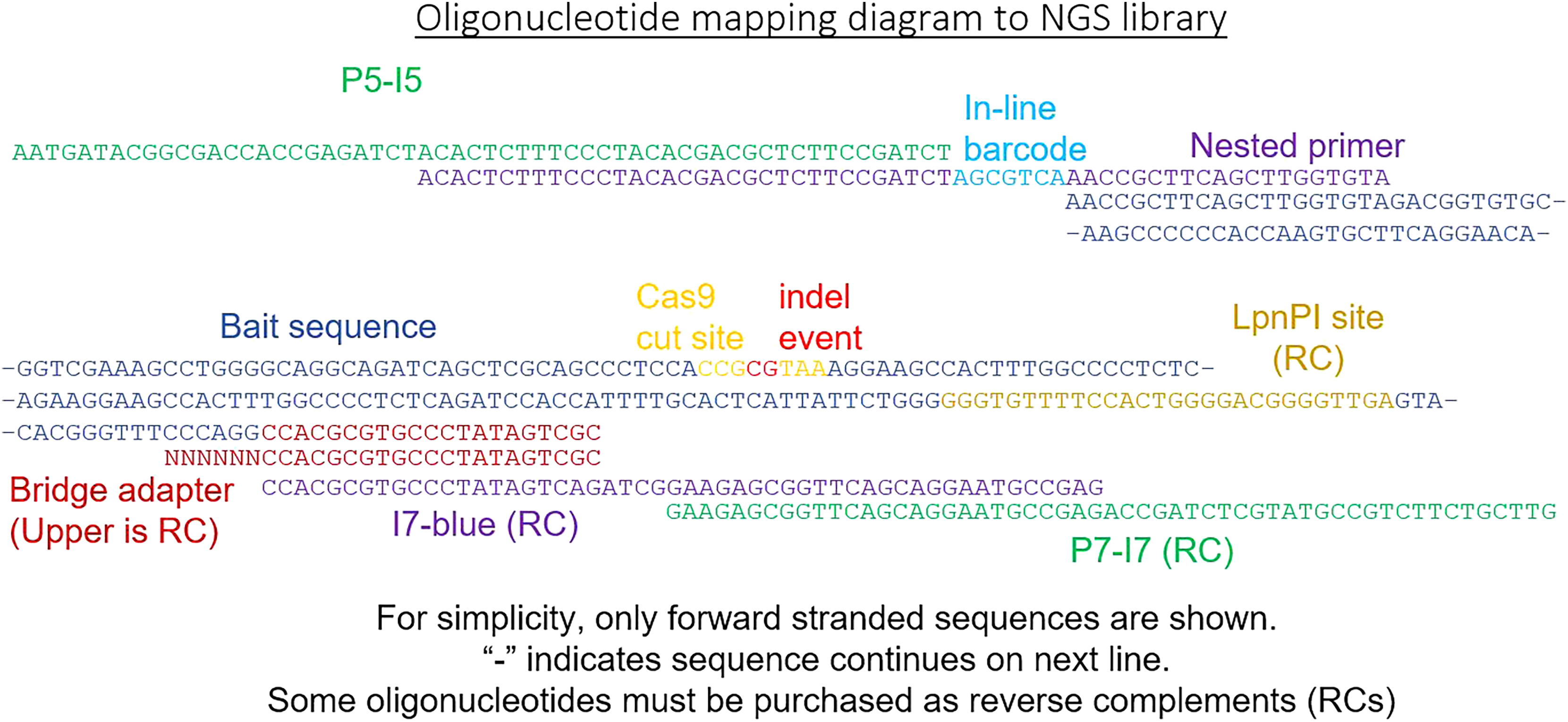 Cell Press: STAR Protocols