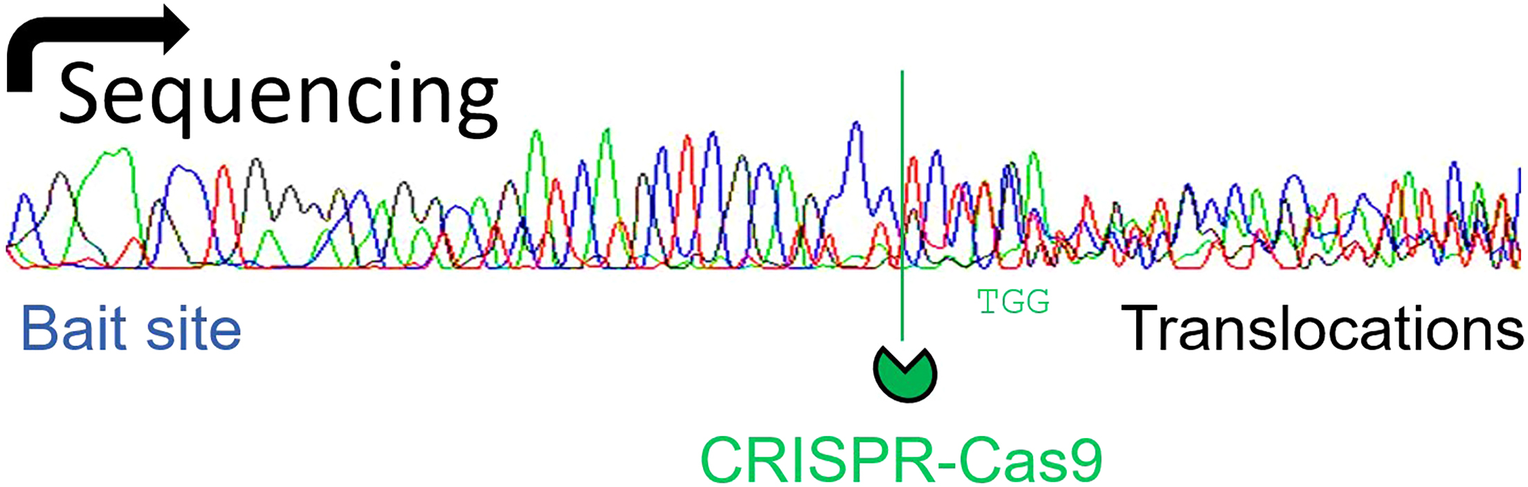 Cell Press: STAR Protocols