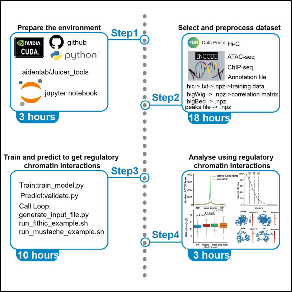 Cell Press: STAR Protocols