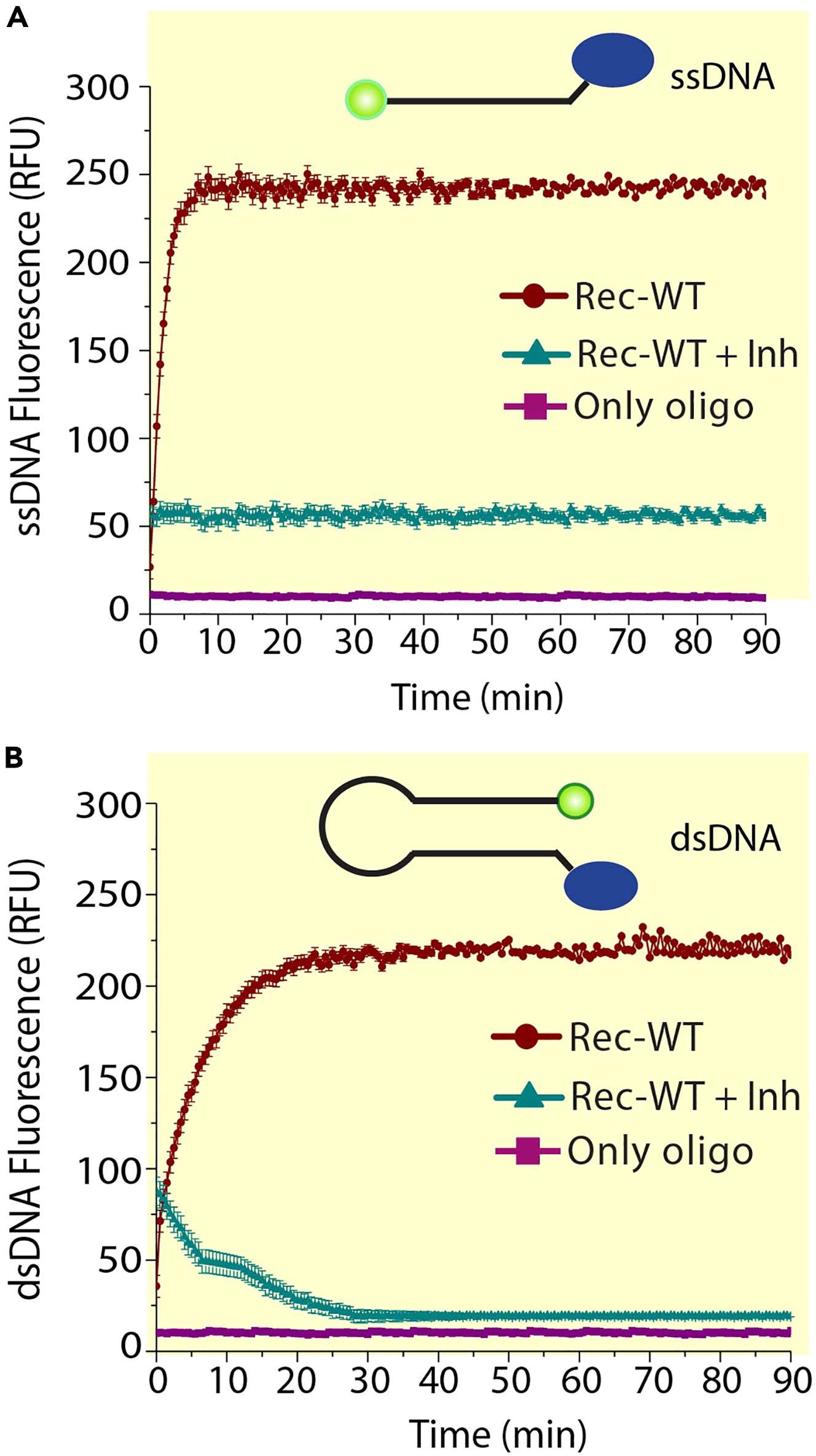 Cell Press: STAR Protocols