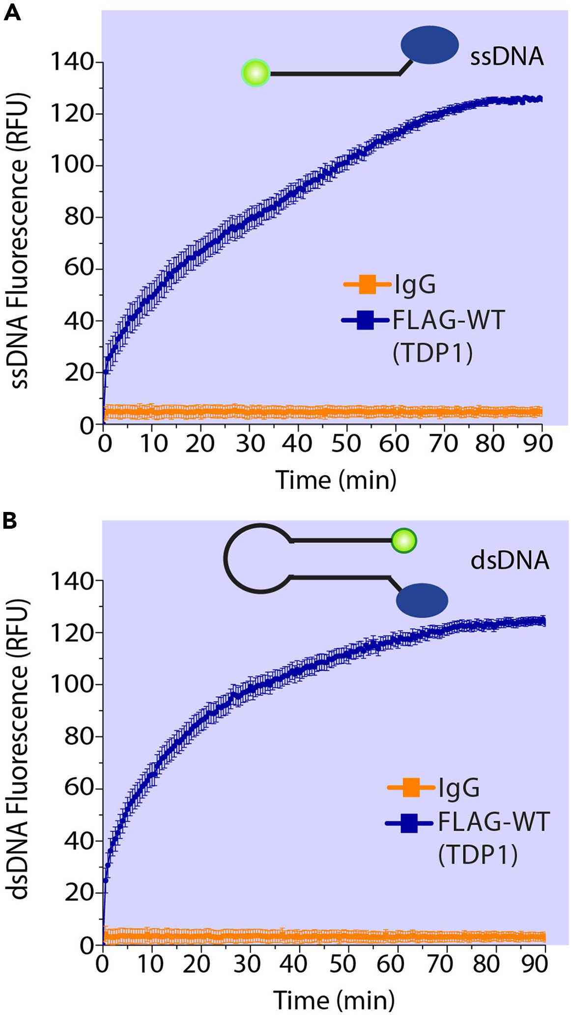 Cell Press: STAR Protocols