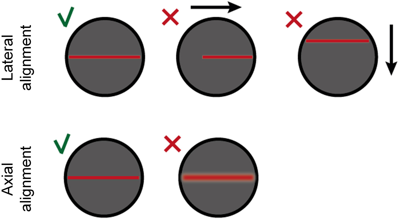 Cell Press: STAR Protocols