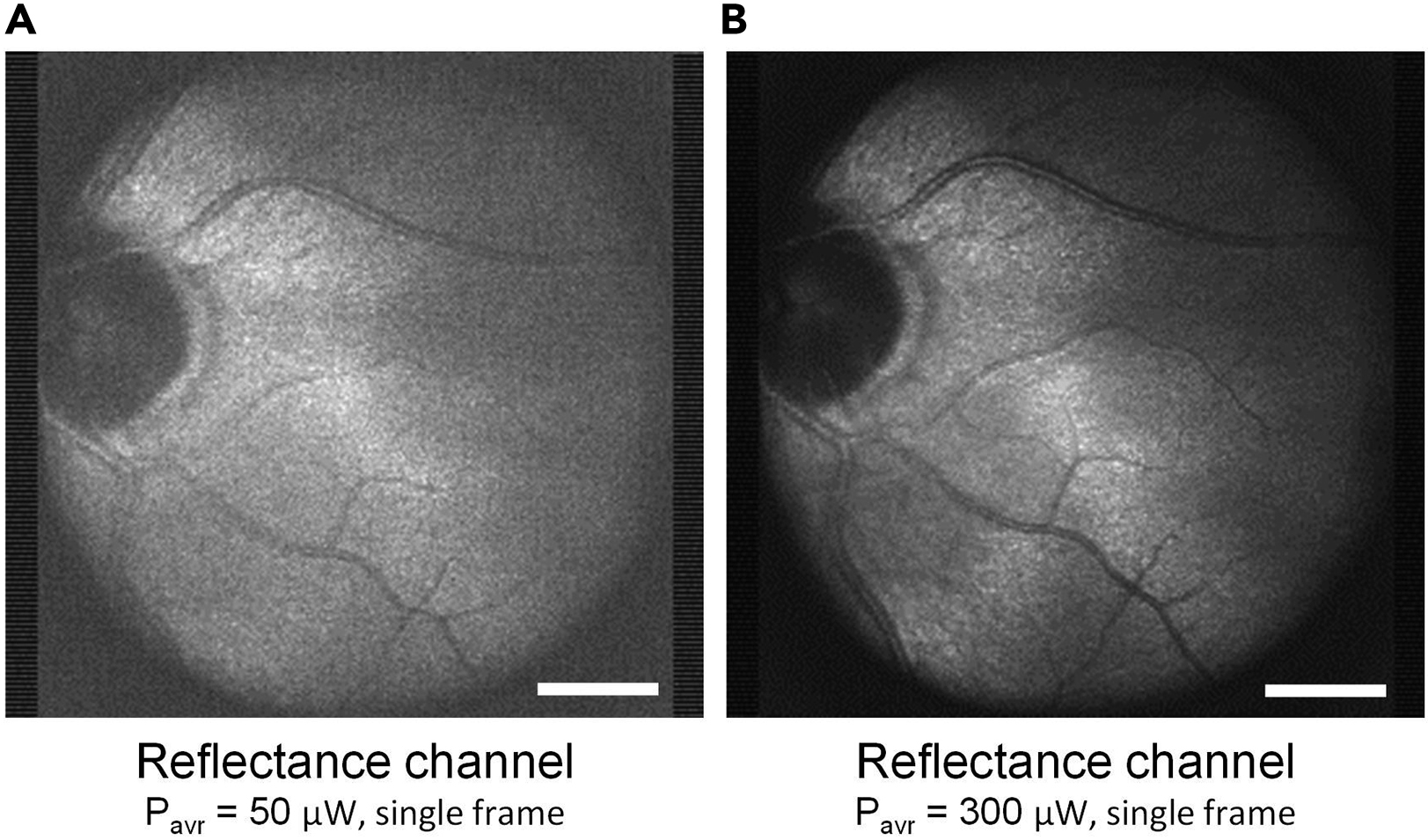 Cell Press: STAR Protocols