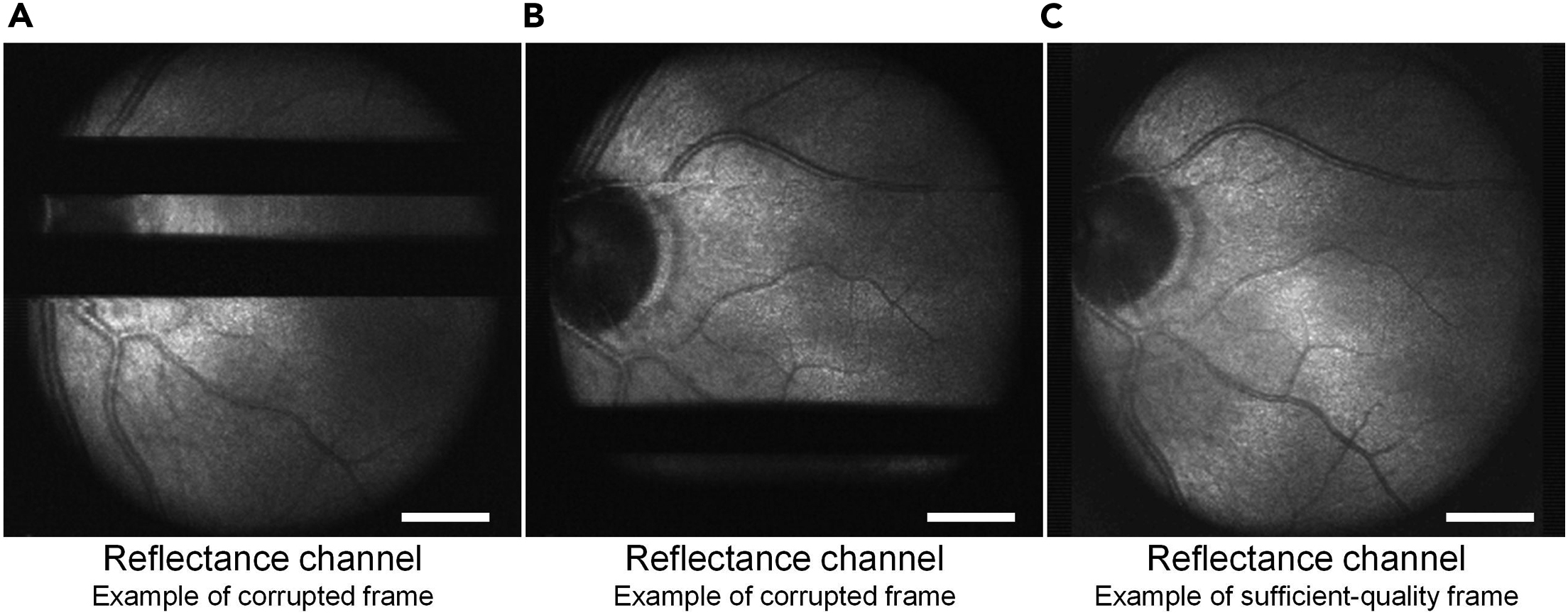Cell Press: STAR Protocols