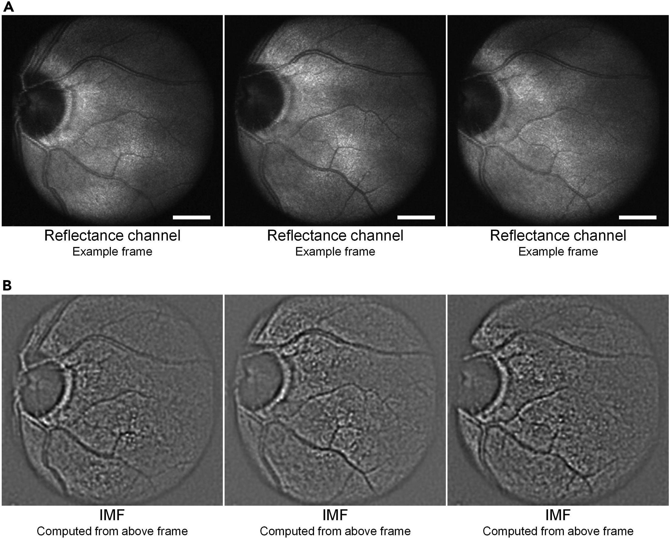 Cell Press: STAR Protocols