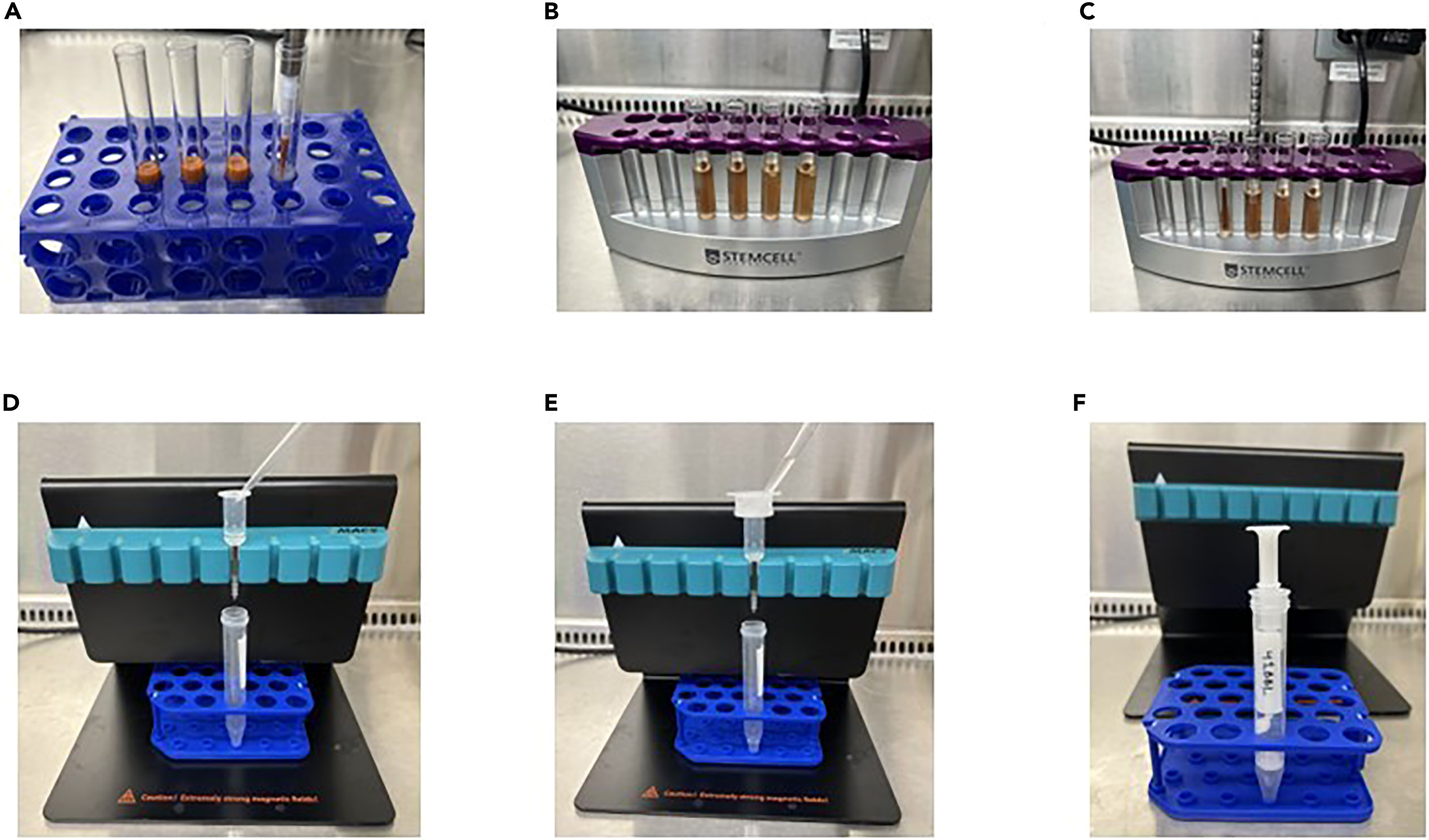 Cell Press: STAR Protocols