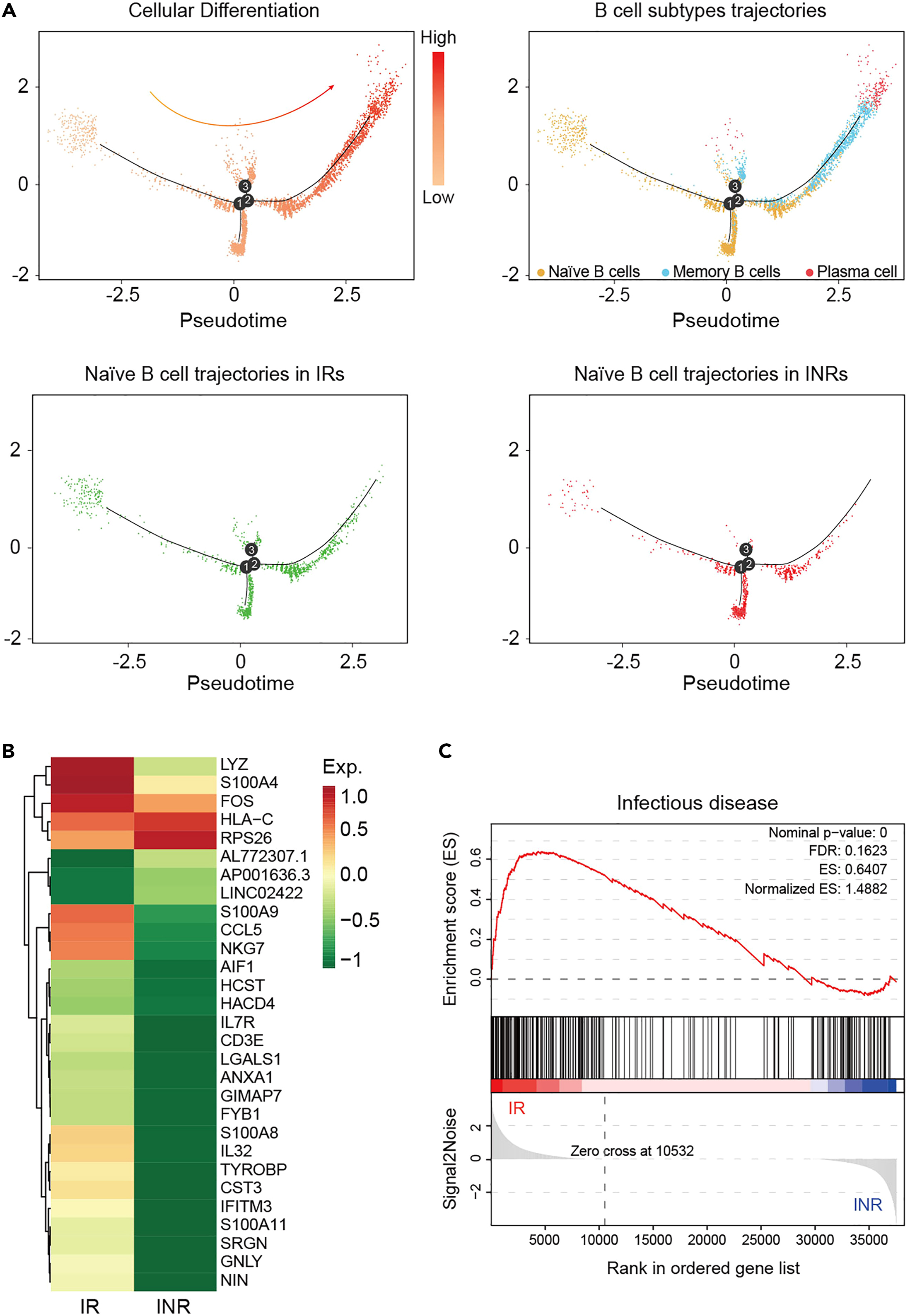 Cell Press: STAR Protocols