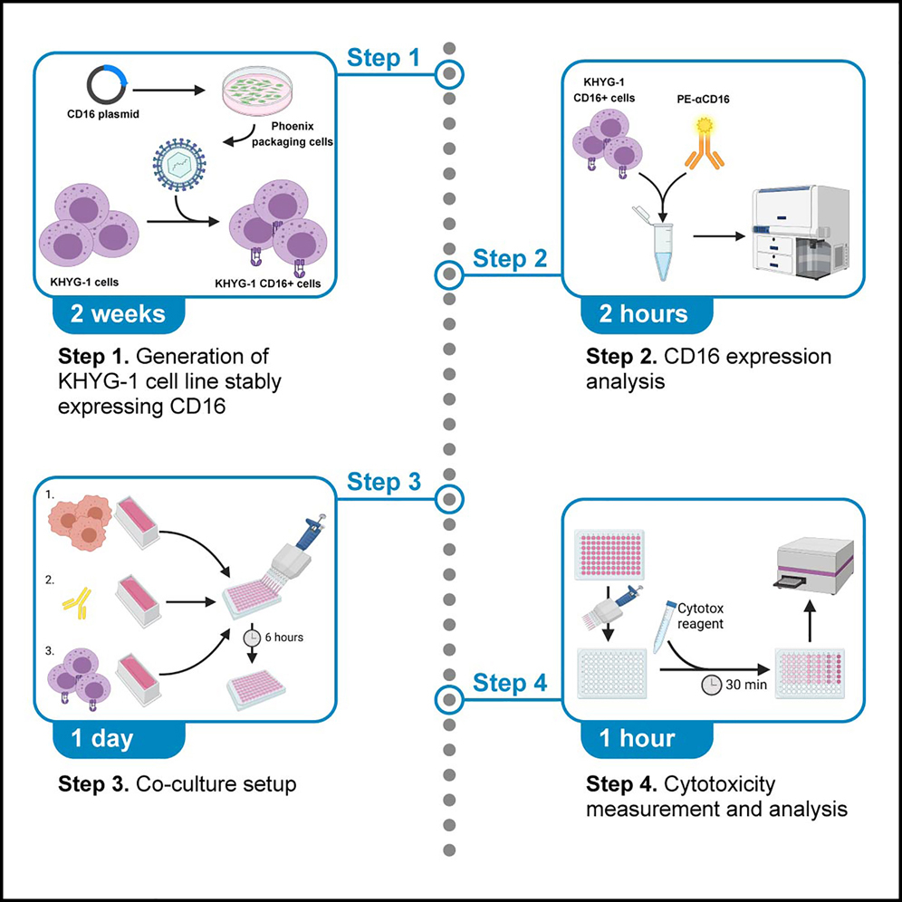 Cell Press: STAR Protocols