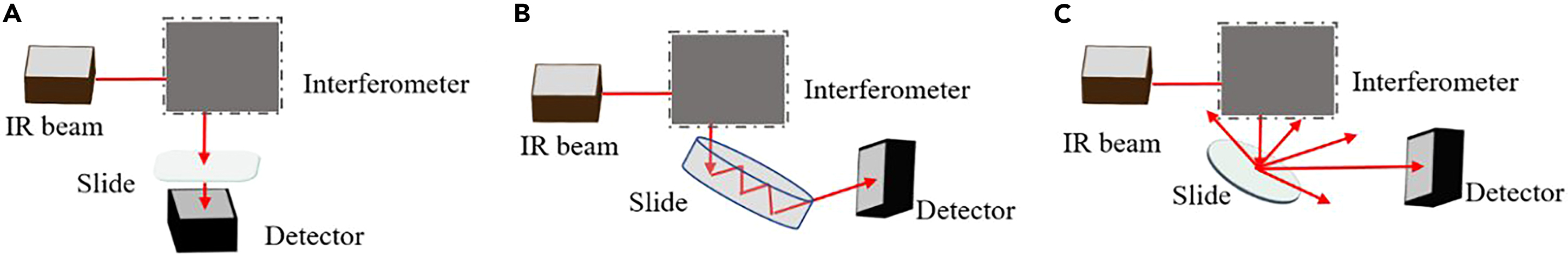 Cell Press: STAR Protocols