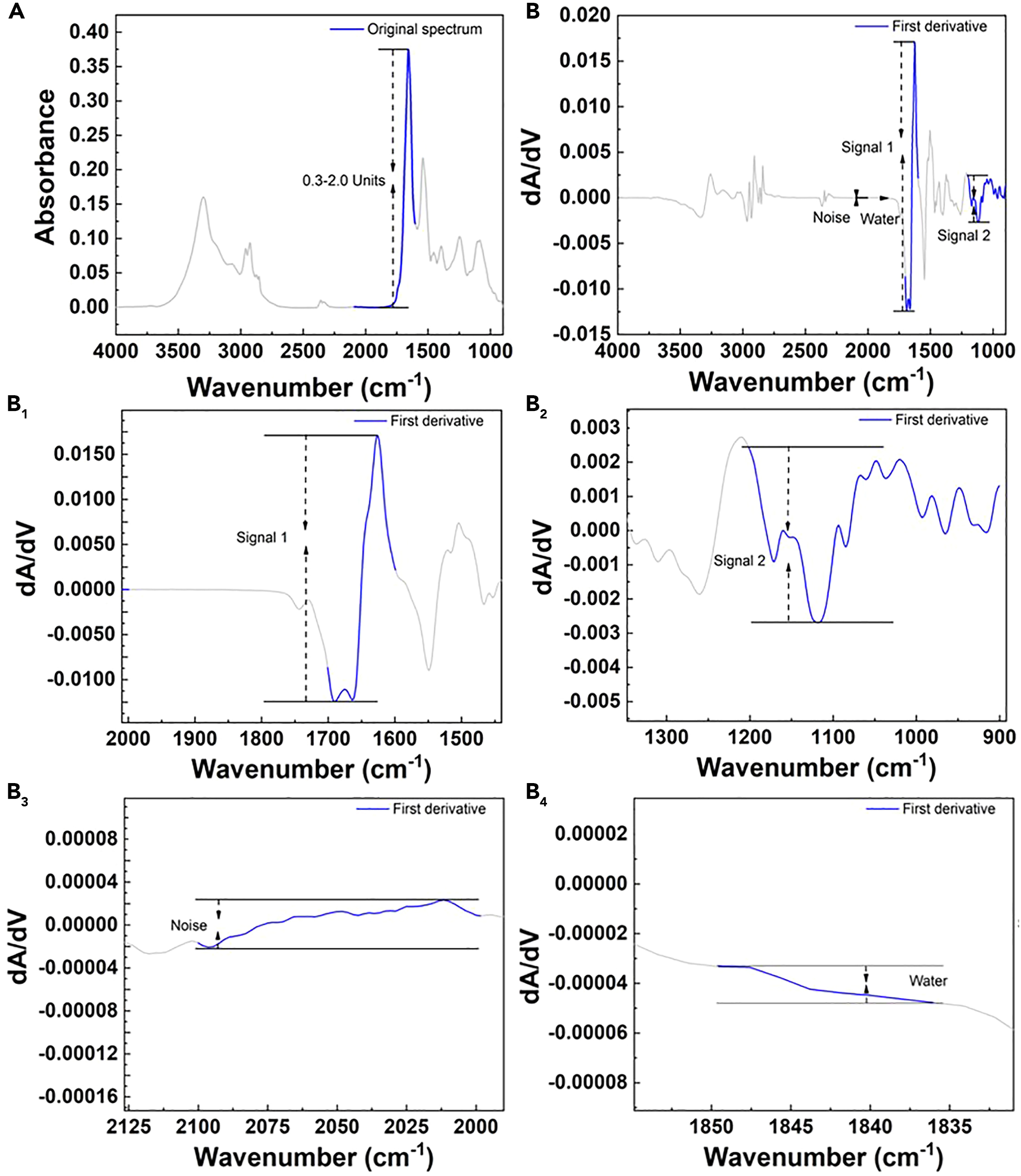 Cell Press: STAR Protocols
