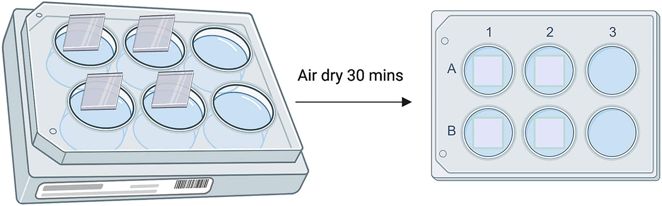 Cell Press: STAR Protocols