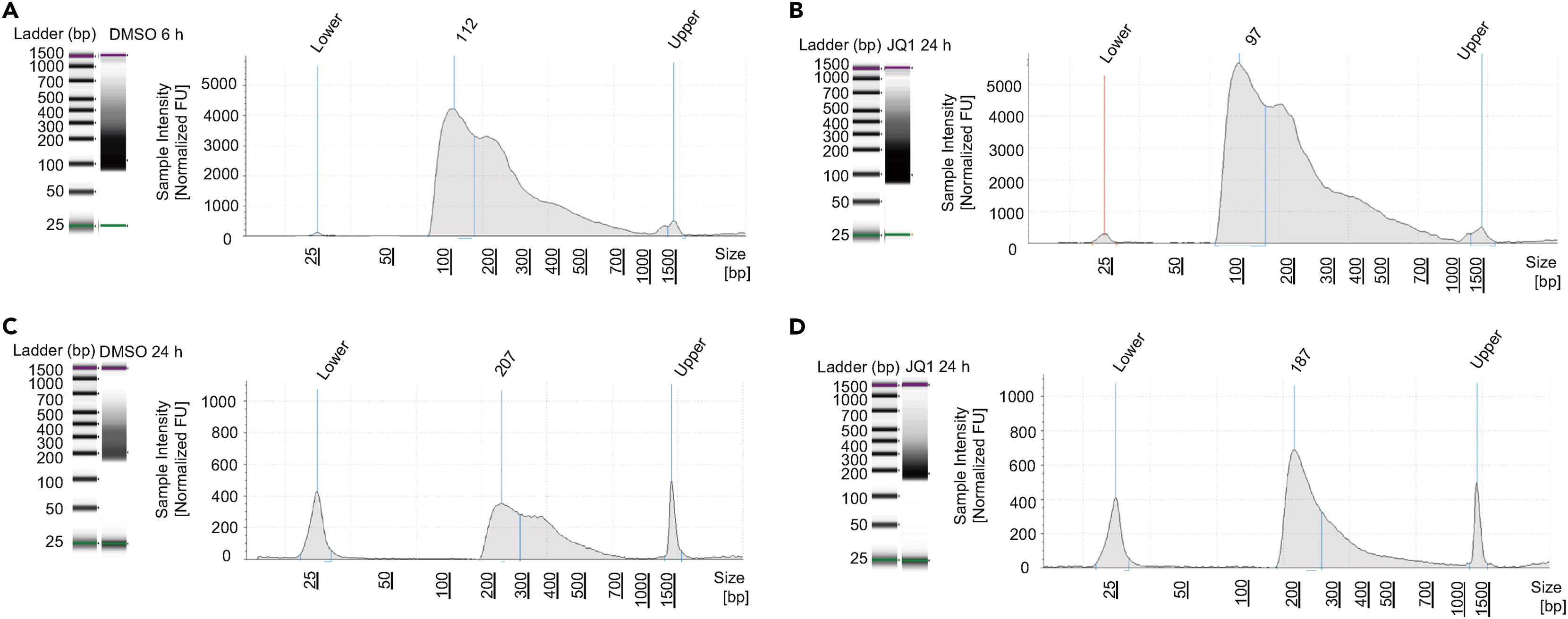 Cell Press: STAR Protocols